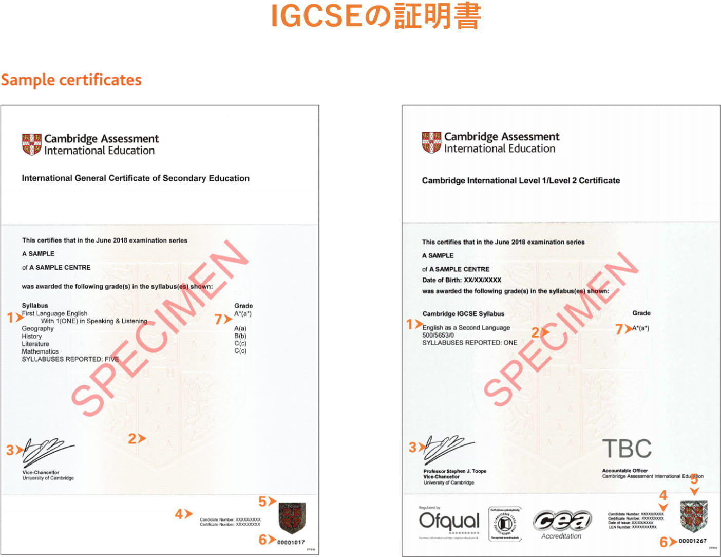 IGCSE（ケンブリッジ国際中等教育修了証）を取得しよう！｜インターナショナルスクールJOI